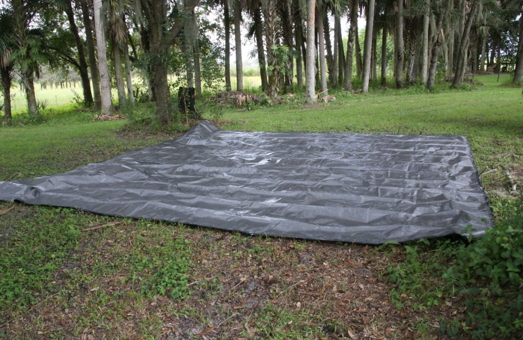 Prepping 101: Collecting & Storing Rainwater for Survival - Solutions ...
