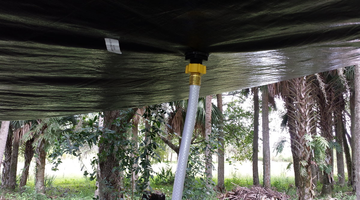Prepping 101: Collecting & Storing Rainwater for Survival - Solutions ...