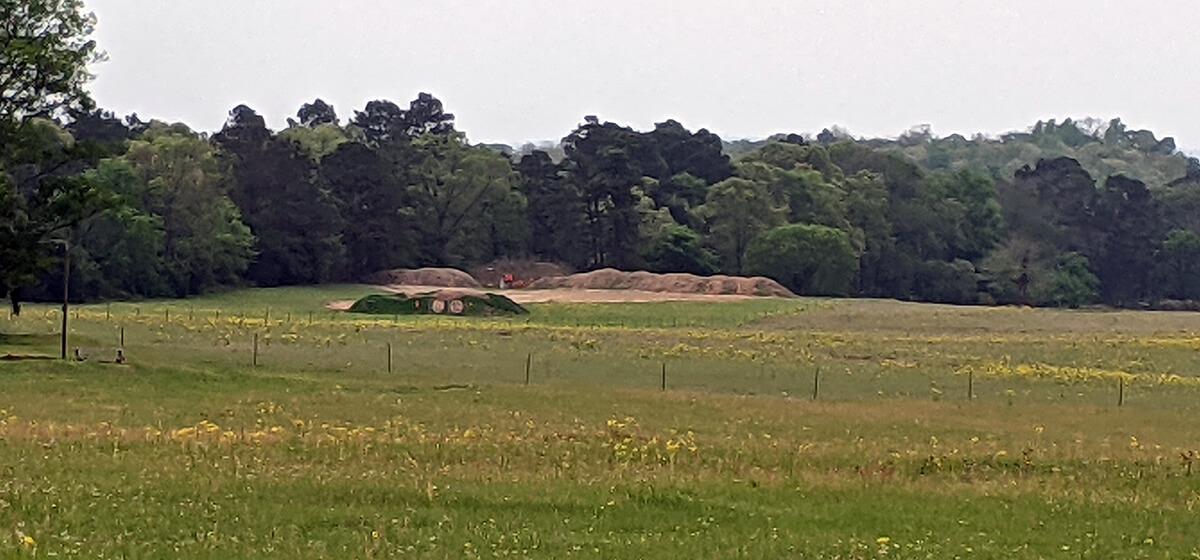 Field-Testing Springfield’s Model 2020: At Home, at the Range, and in ...