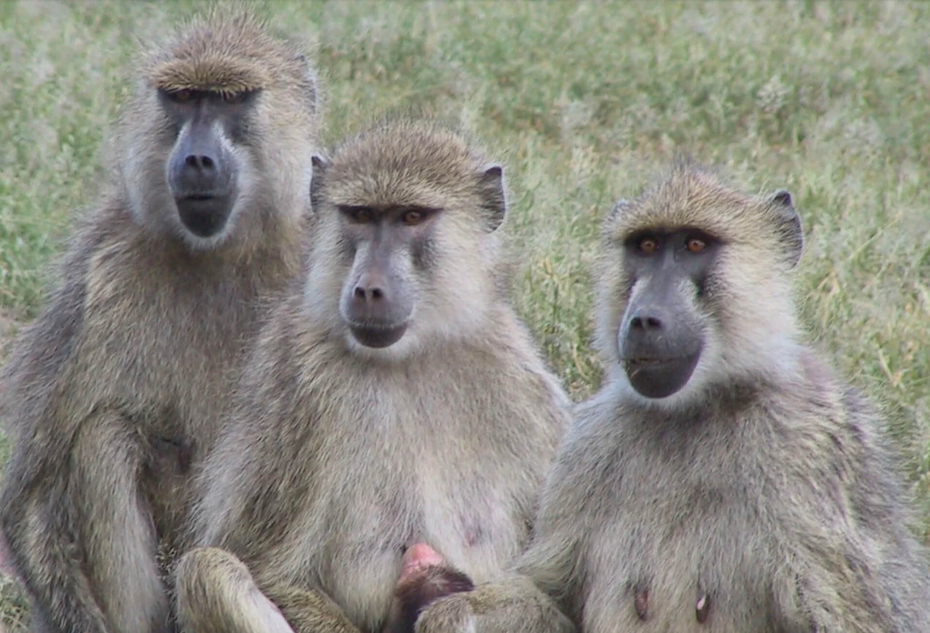 "Old Jack" Hinson: Civil War Sniper Back When Sniping Wasn't Cool