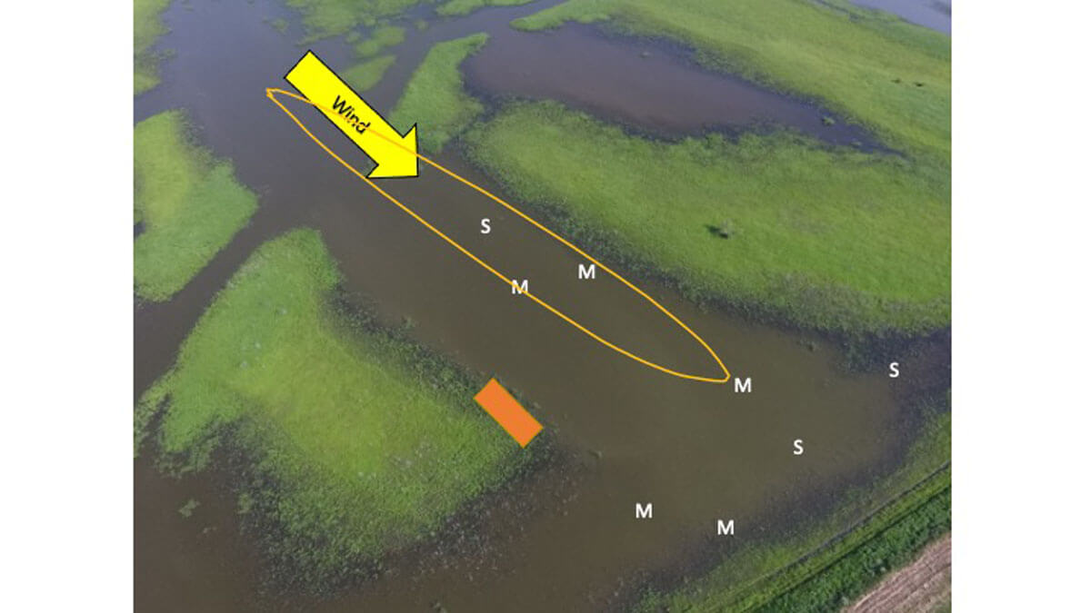 Decoy Spreads with Water Motion