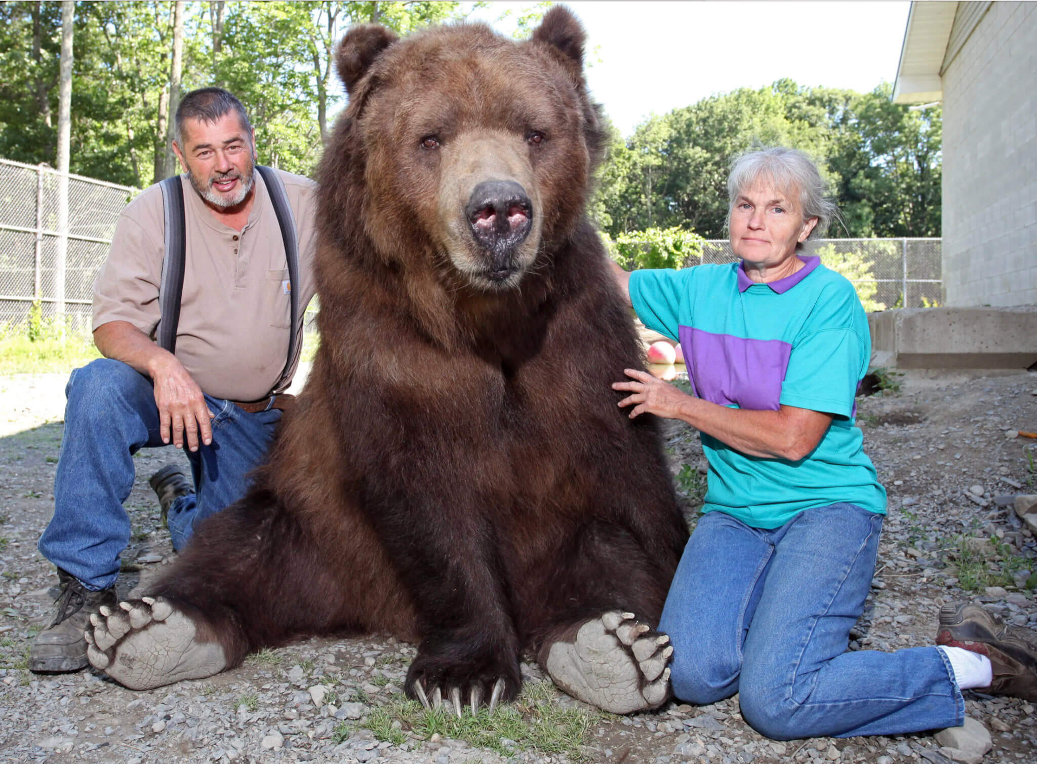 Dr Dabbs - Bella Twin: The Little Woman And The Really Big Bear