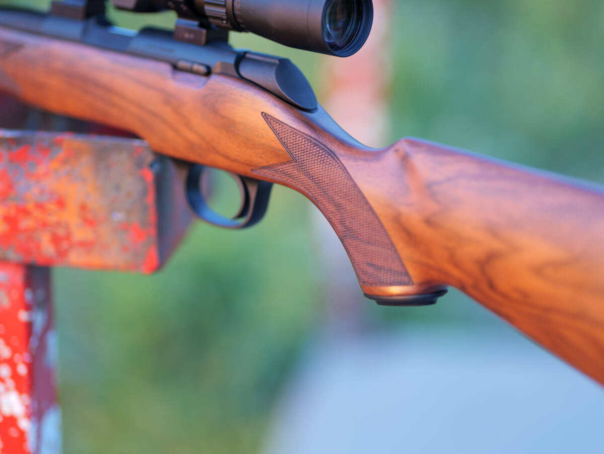 Springfield's 2020 Rimfire Rifles