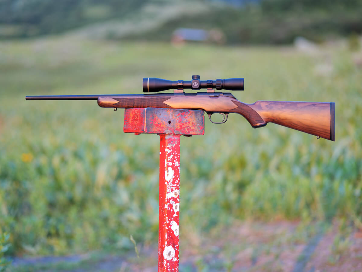Springfield's 2020 Rimfire Rifles