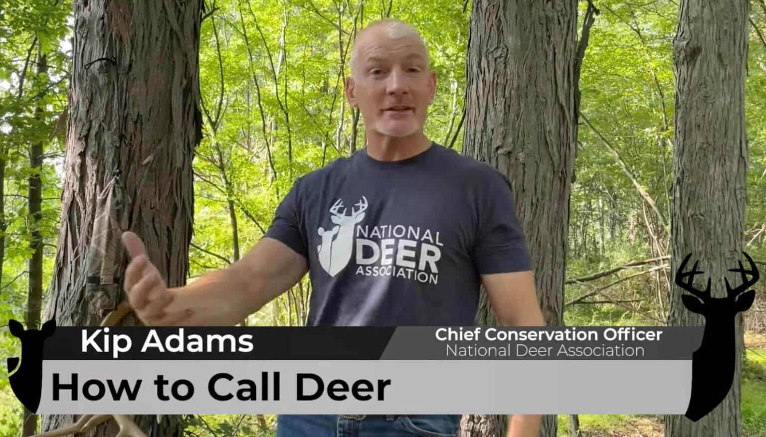 NDA: How to Call Deer!