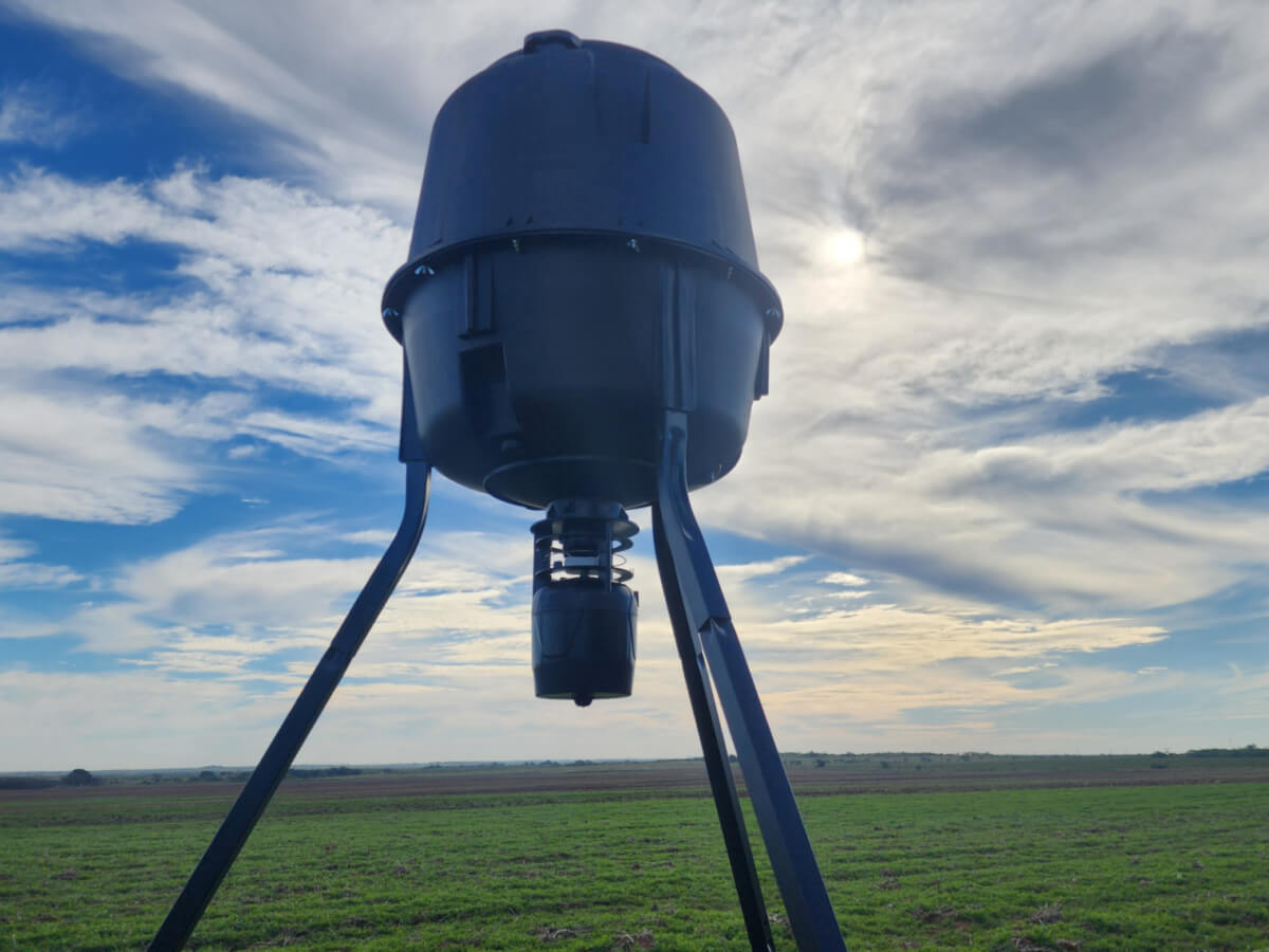 Baiting Deer 101: When, Why, and How