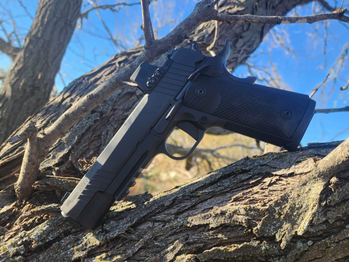 Red Dot vs. Iron Sights: Which Is Better