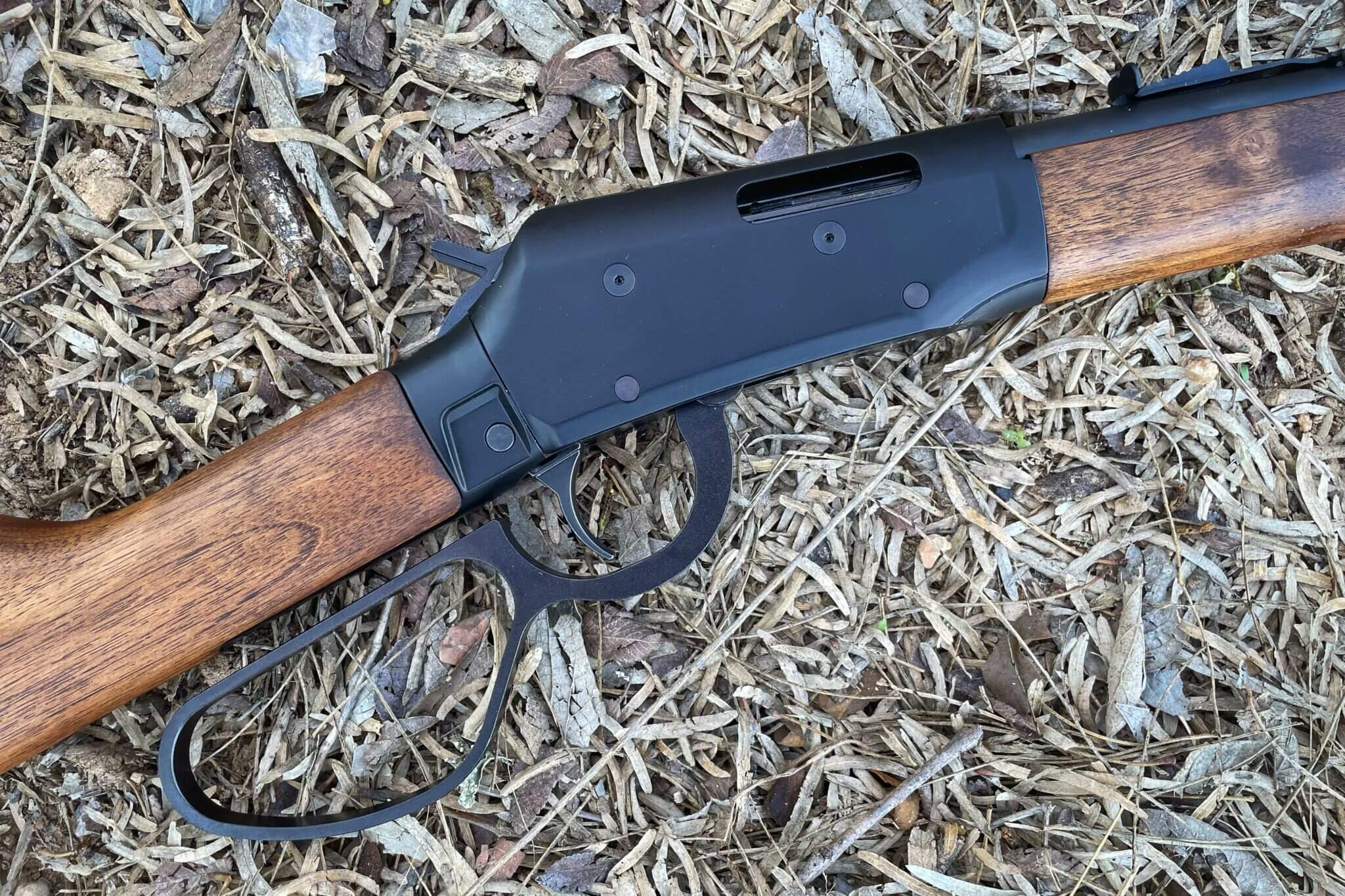 Savage Revel: A New Lever Action 22
