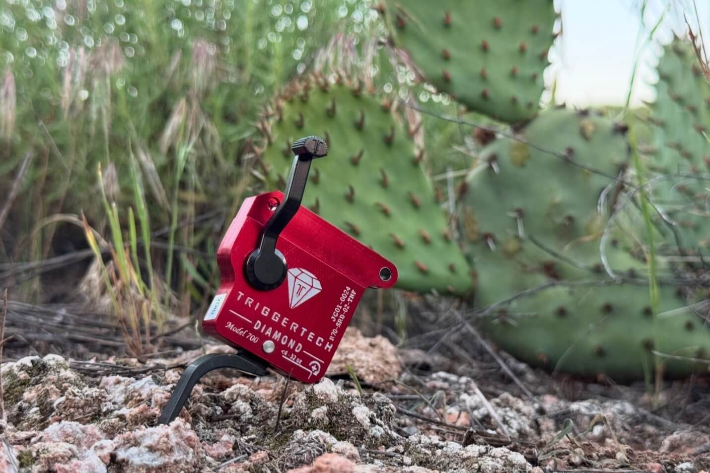 The Ultimate .22LR Competition Build: Zermatt RimX Review