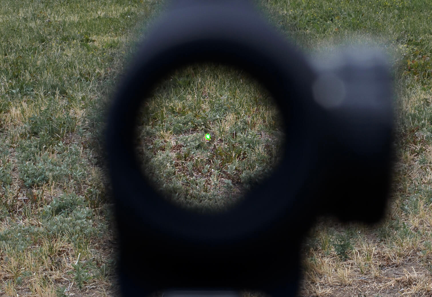 Vortex Crossfire Green Dot Review